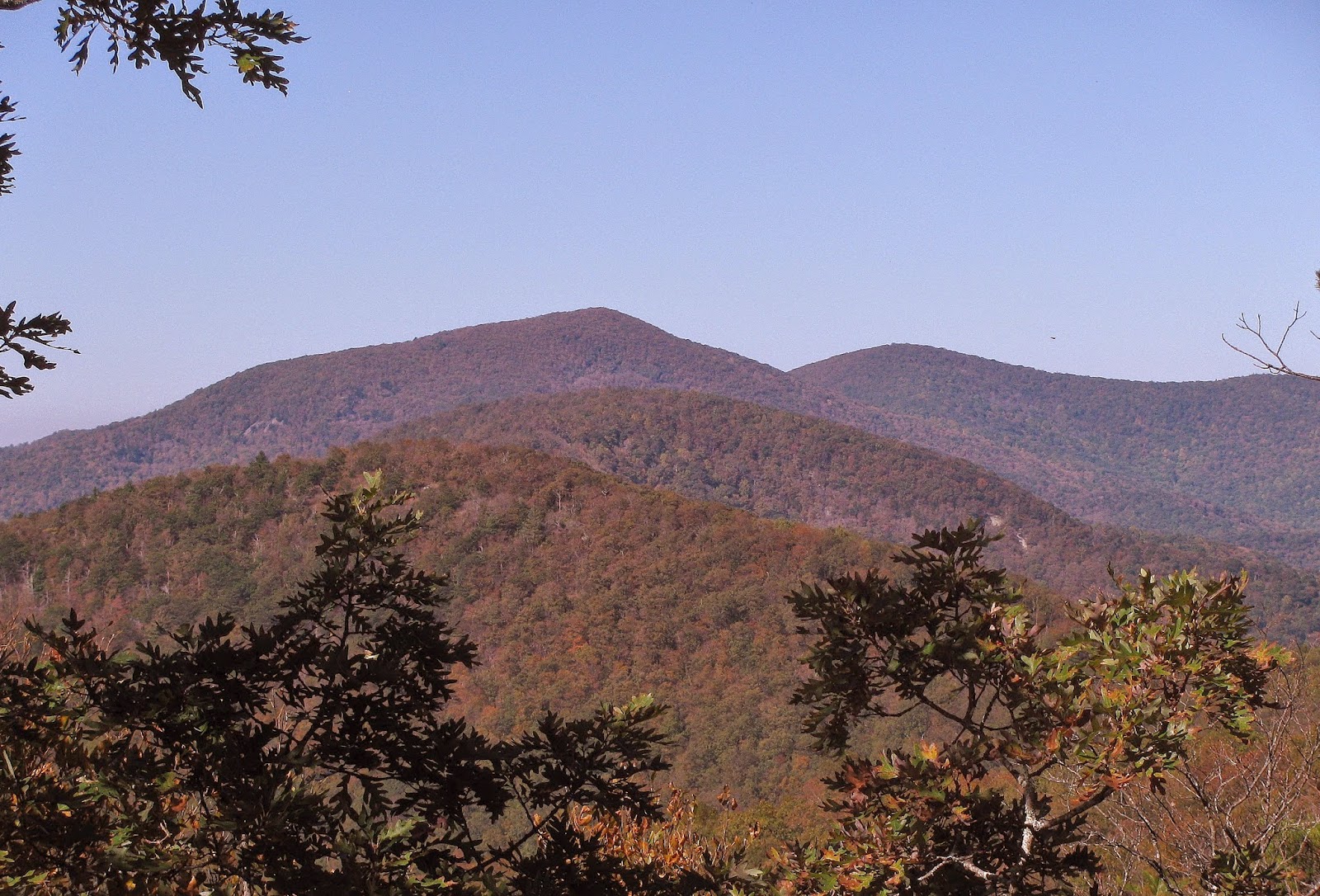 Tales From The Wood Booger: The Wood Booger Top 5: AT Vistas