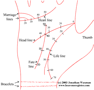 Significance of HEAD-LINE (Complete Guide) |Palm reading Guide