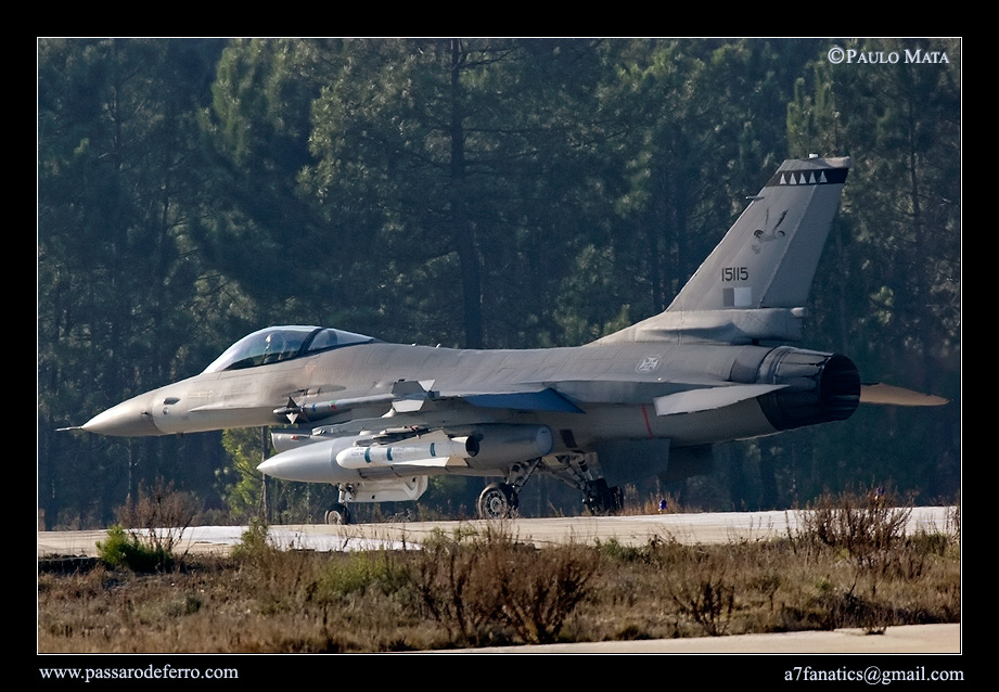 SWEET FIFTEEN (M616 - 13AL/2012) - Adendado (2) ~ PÁSSARO DE FERRO