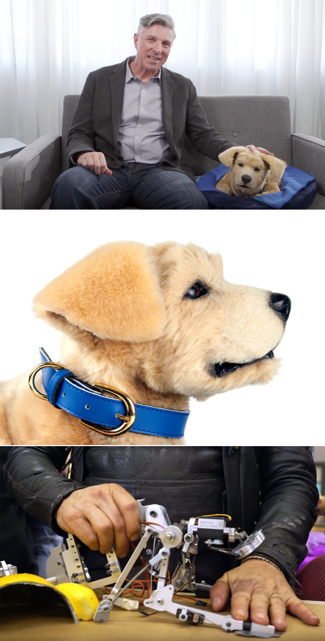 Futurix: Tombot, il primo cane robot iperrealistico