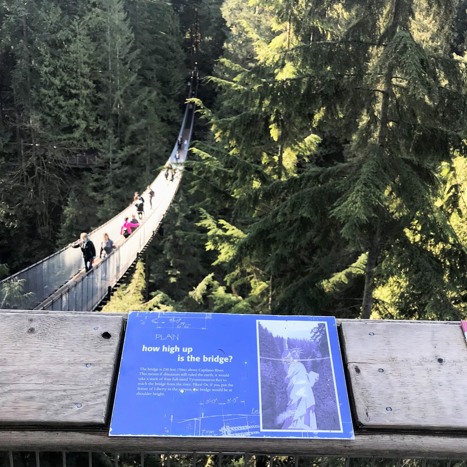 Capilano Suspension Bridge Park : 7 Unforgettable Experiences | MAPLE ...