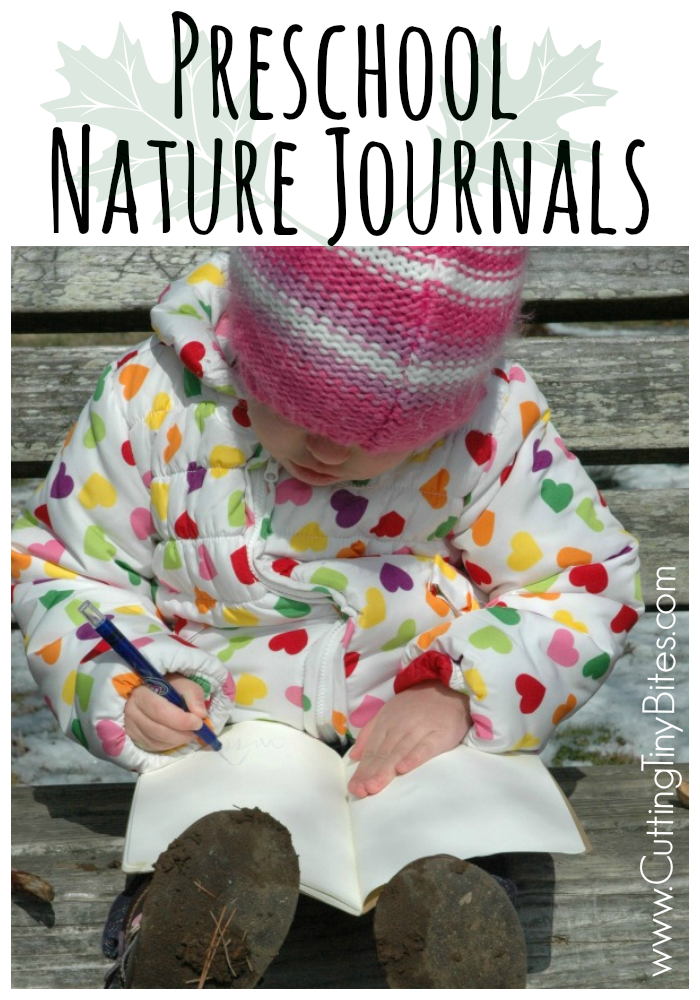 Preschool Nature Journals | What Can We Do With Paper And Glue