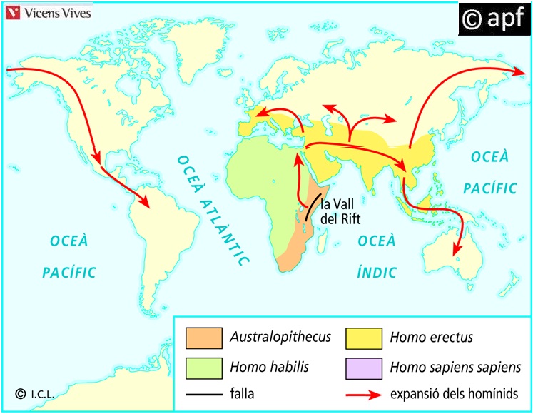 Ciències Socials: TEMA 9: LA PREHISTÒRIA (1r. d'ESO)