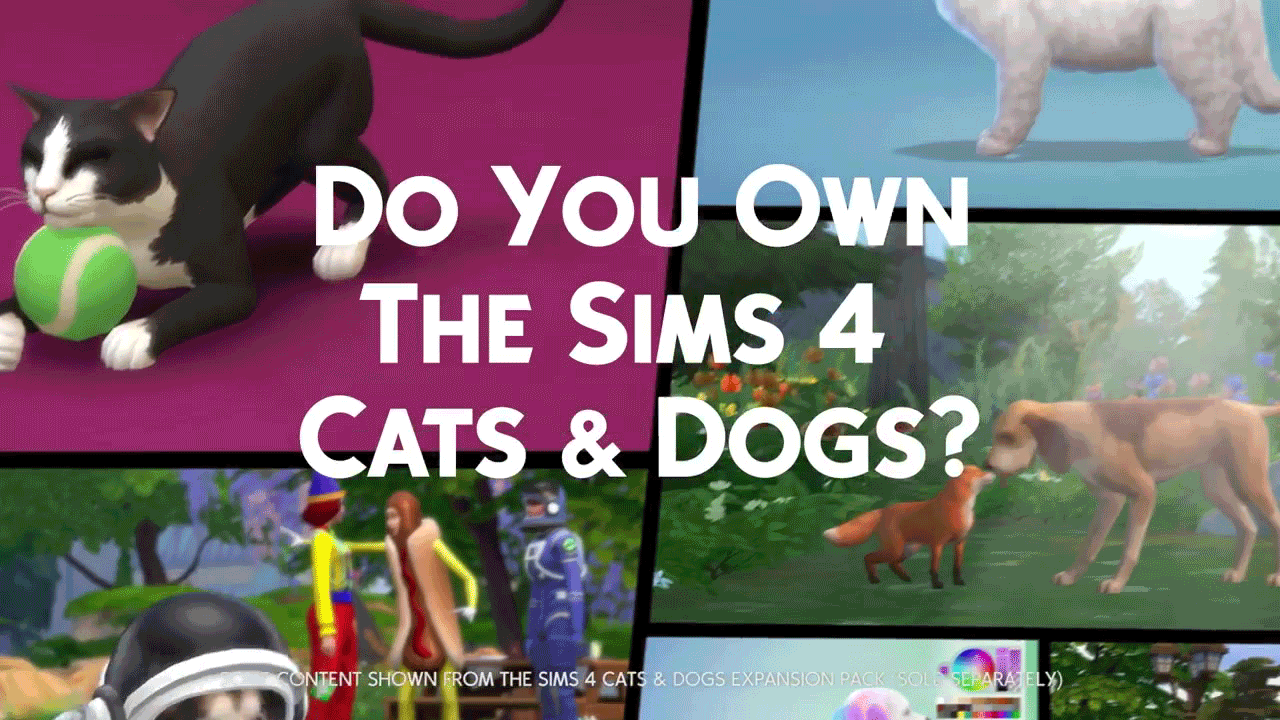 Sims 4 pets needs mod - erobliss