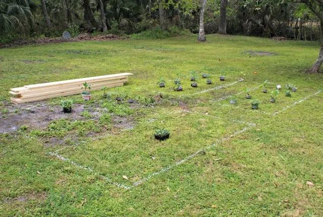 Planning & Building a Raised-Bed Vegetable Garden | The Two Bite Club