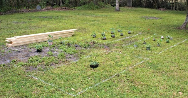 Planning & Building a Raised-Bed Vegetable Garden | The Two Bite Club