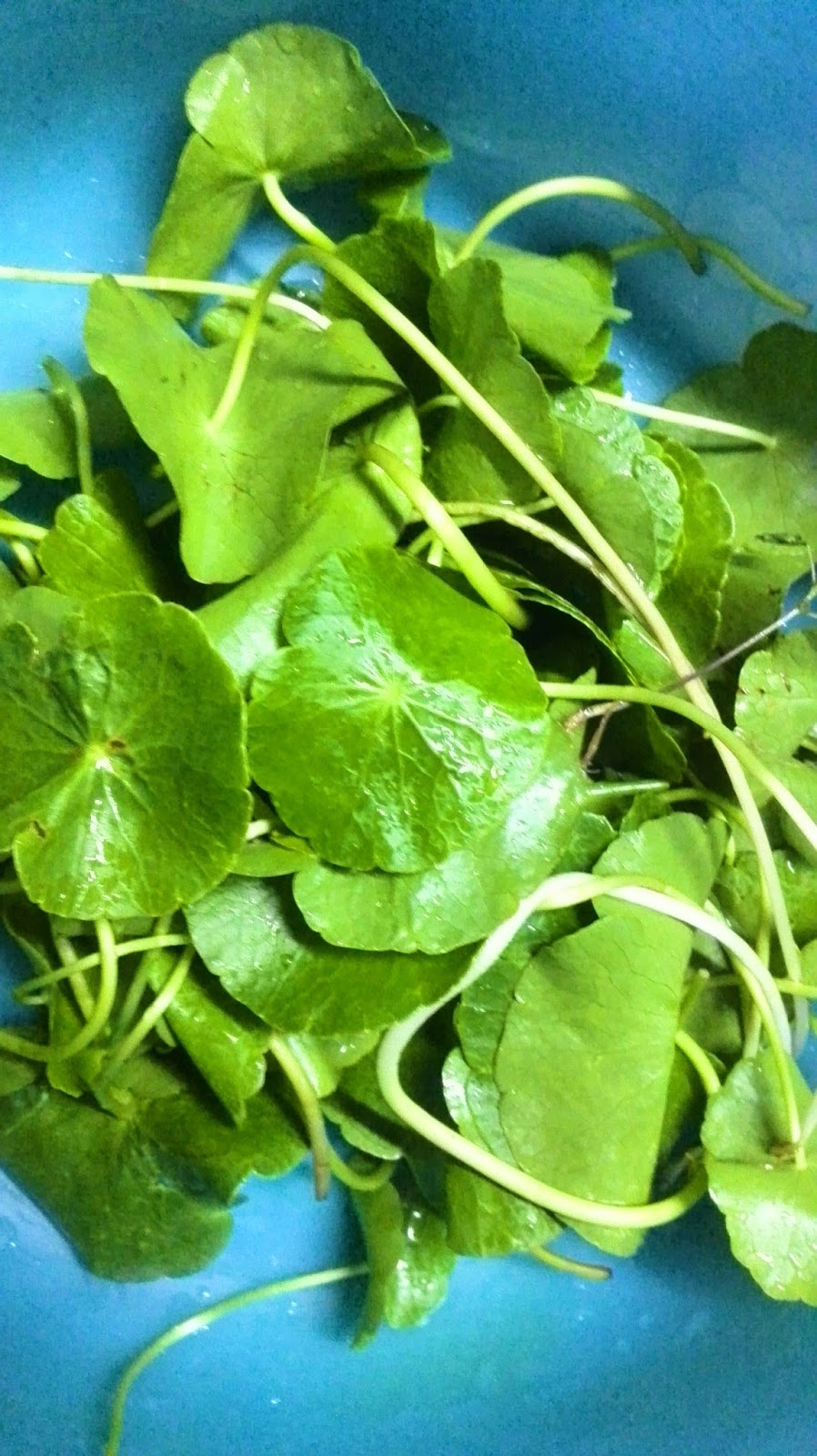 namakucella: SAMBAL SARDIN PETAI & ULAM PEGAGA