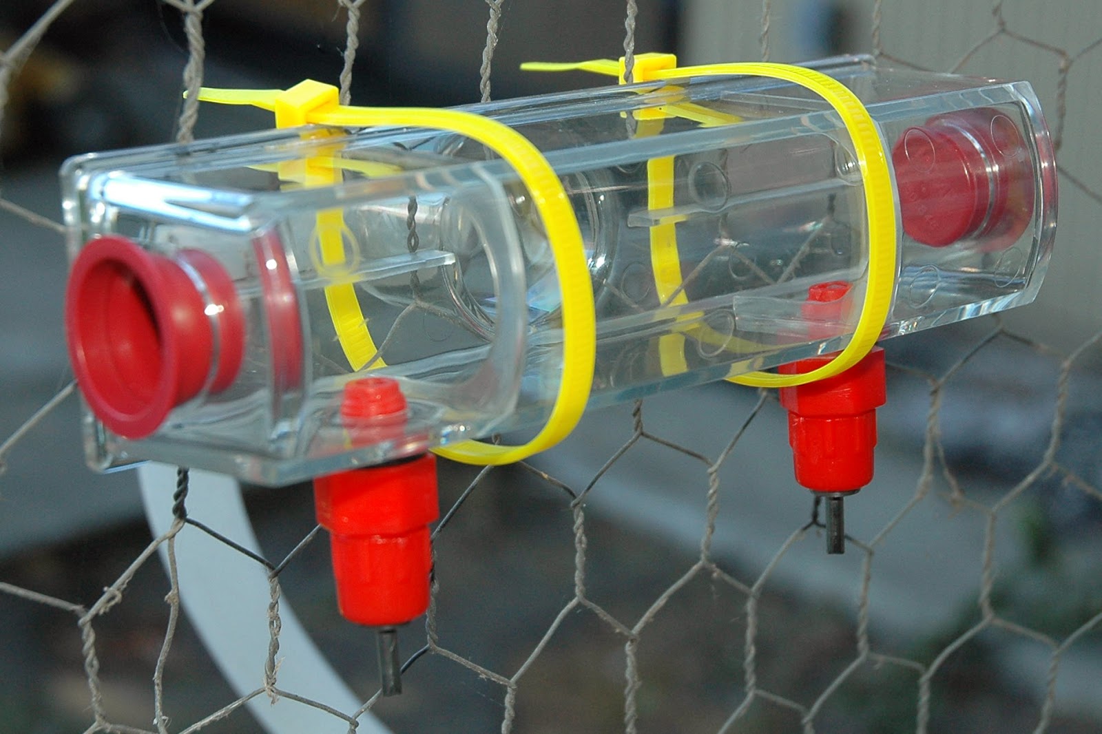 BriteTap Chicken Waterer Remote Tank System