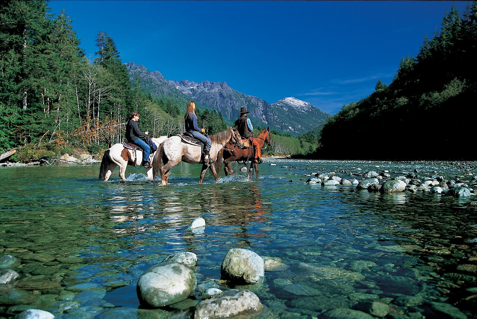 Canada. A voyage to wild nature in Canada, North America - Newfoundland ...