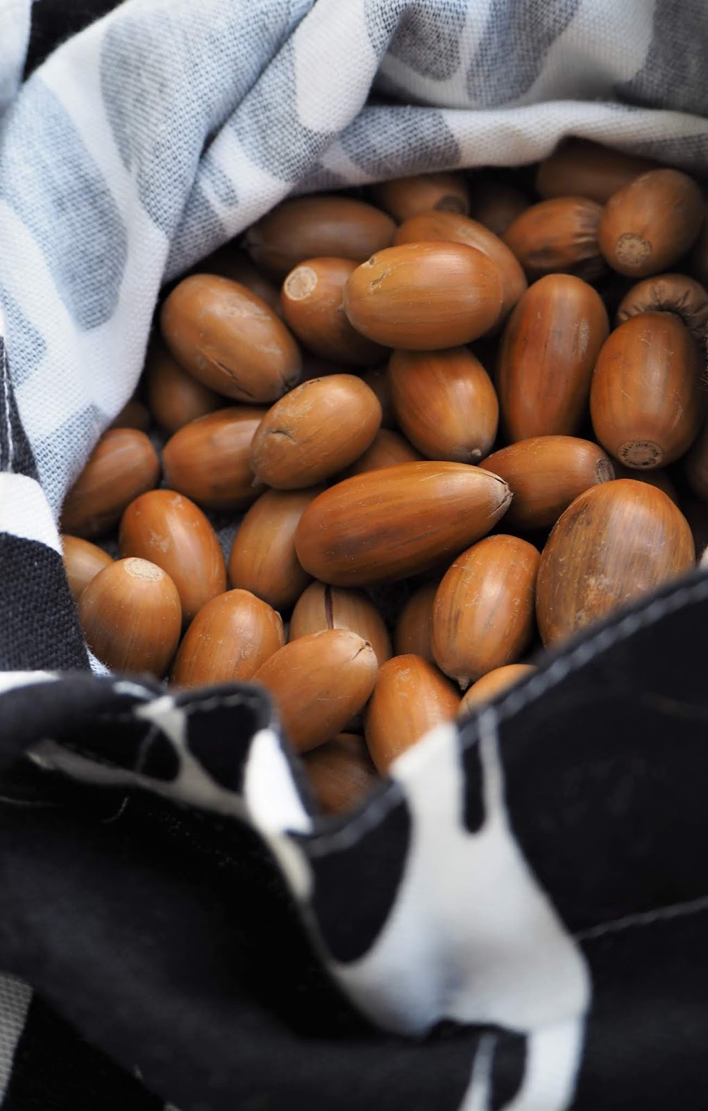 Kotiäidin elämää: Askarrellaan Olli-orava tammenterhoista!