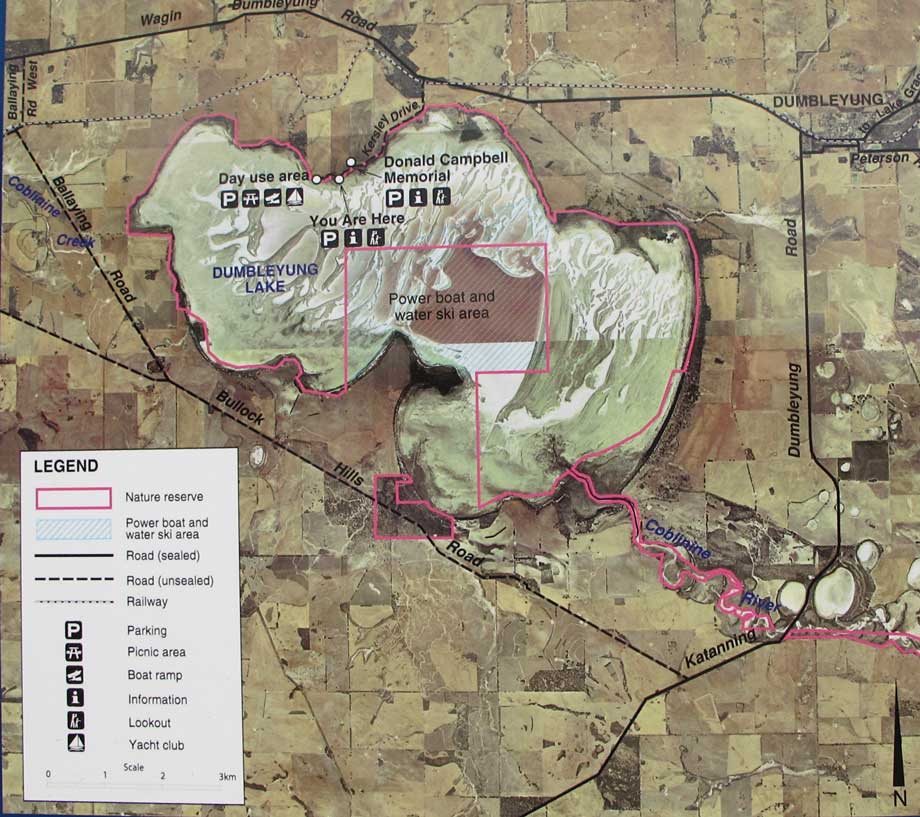 Life Images by Jill: Lake Dumbleyung - Western Australia - once in 20 ...