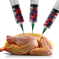 CANAL ANIMAL TV: VOCÊ JÁ VIU UM CHESTER VIVO???