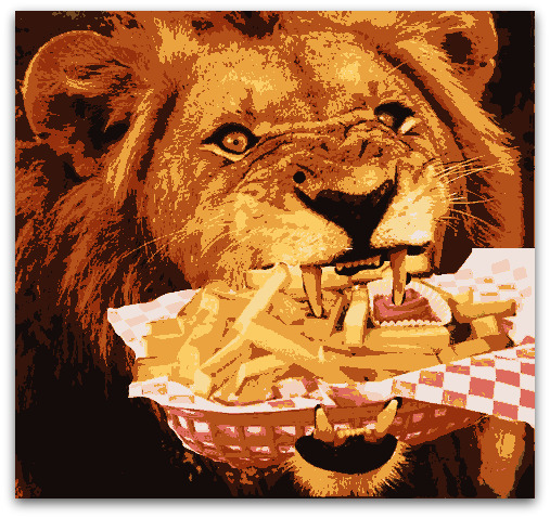 Vermilion Lions Club: Football and Frenchfries returns this friday! It ...