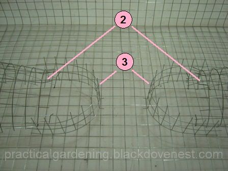 Practical Gardening: Homemade Bird Trap - Build Plans & Specs DIY