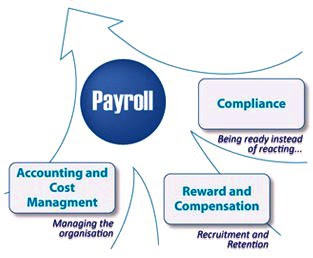 Important Steps to Set Up a Payroll System for Your Business ~ Eilisys ...