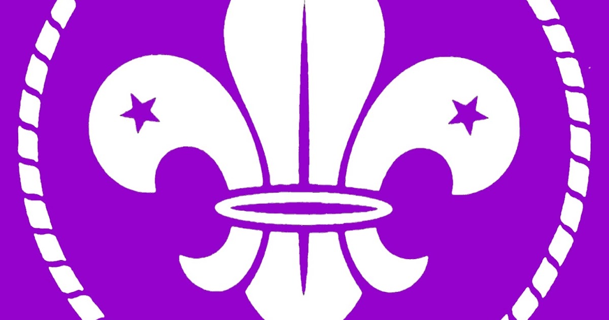 BHARAT SCOUTS AND GUIDES , RGMHSS UNIT: WORLD SCOUT LOGO