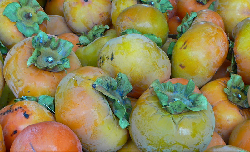 A French Education: KAKI FRUIT