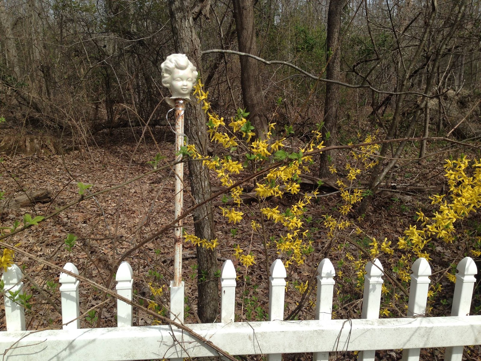 Goth Gardening ^o^: ...my father's gothic garden...