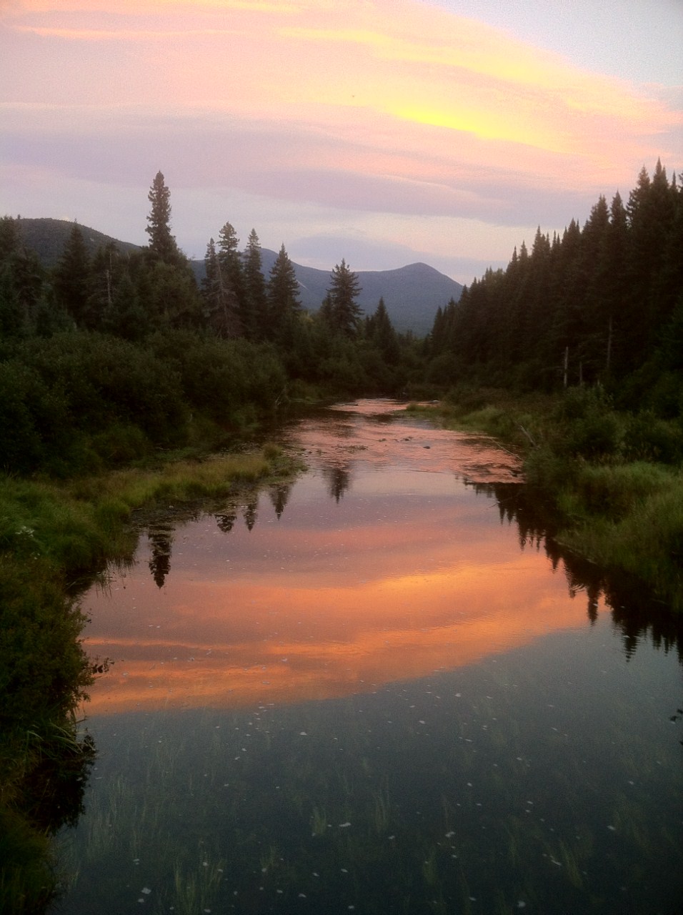 Matt's Hikes: More Baxter State Park - North Brother and Fort - August ...