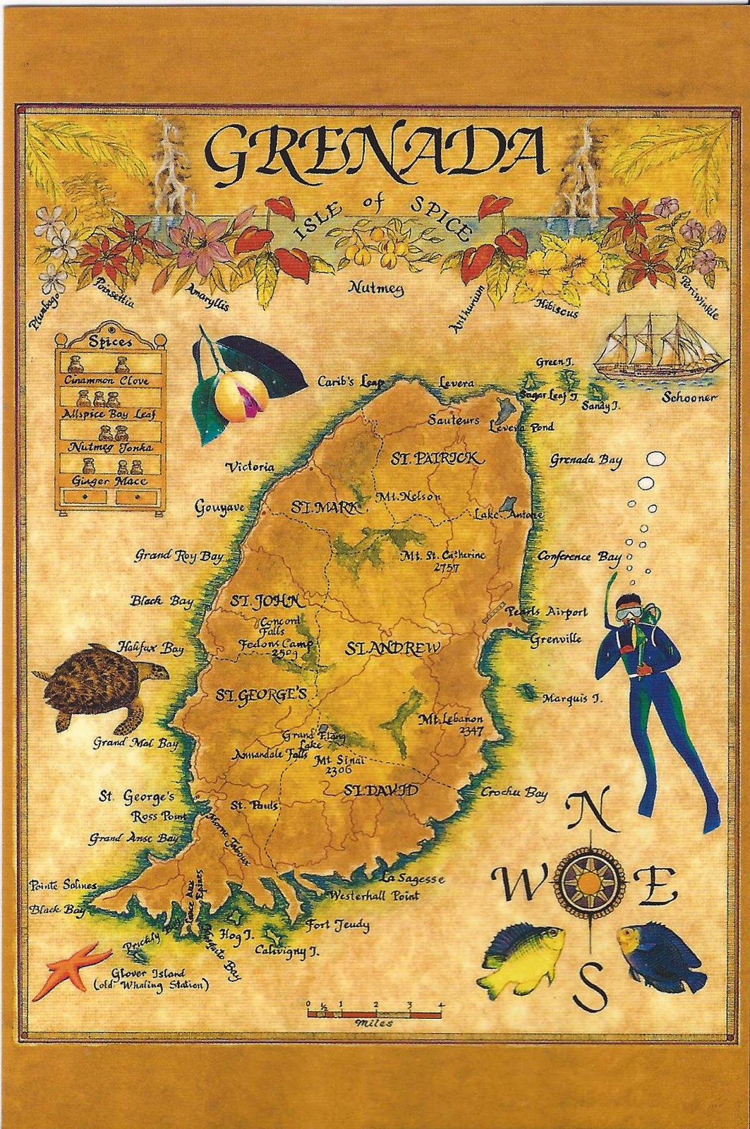 A Journey of Postcards: A postcard from Grenada, the Isle of Spice