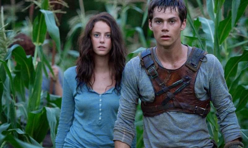 Michael Bow Maze Runner