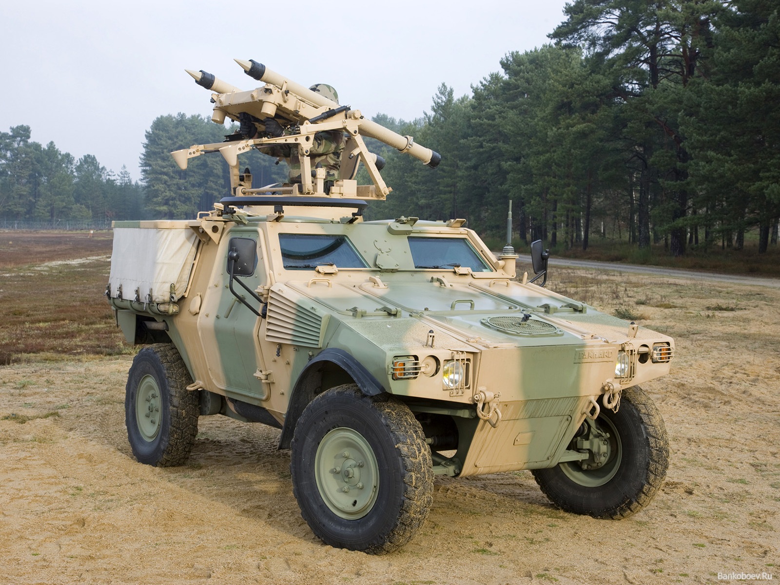 Blog de las Fuerzas de Defensa de la República Argentina: MANPADS: MBDA ...