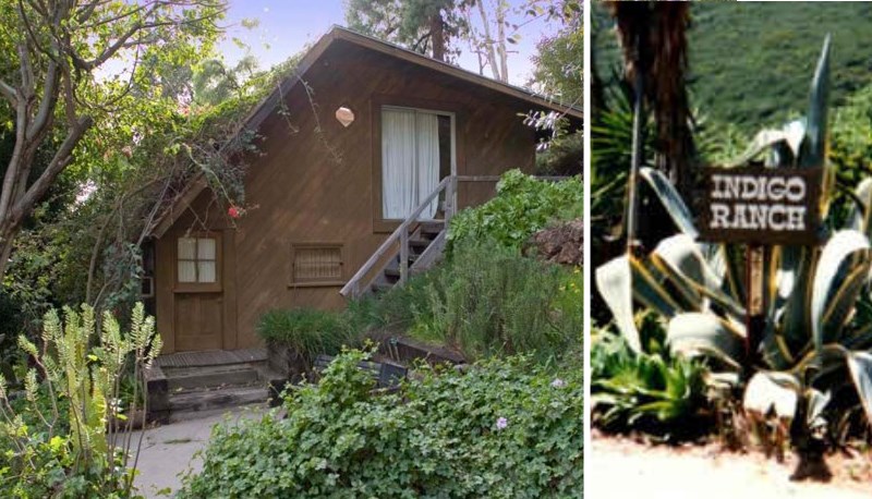 Großes Special: Alles über das Album 'Neil Young Hitchhiker'