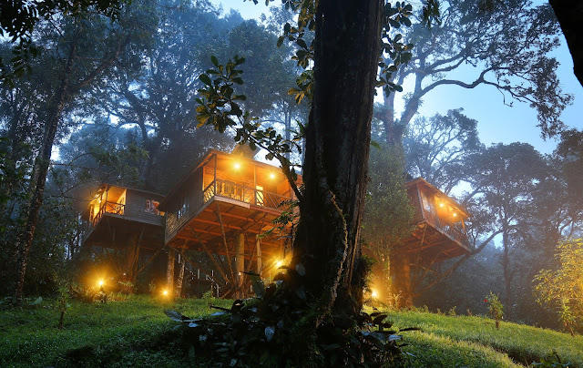 An Eco Friendly Resort in Munnar - Nature Zone Resort