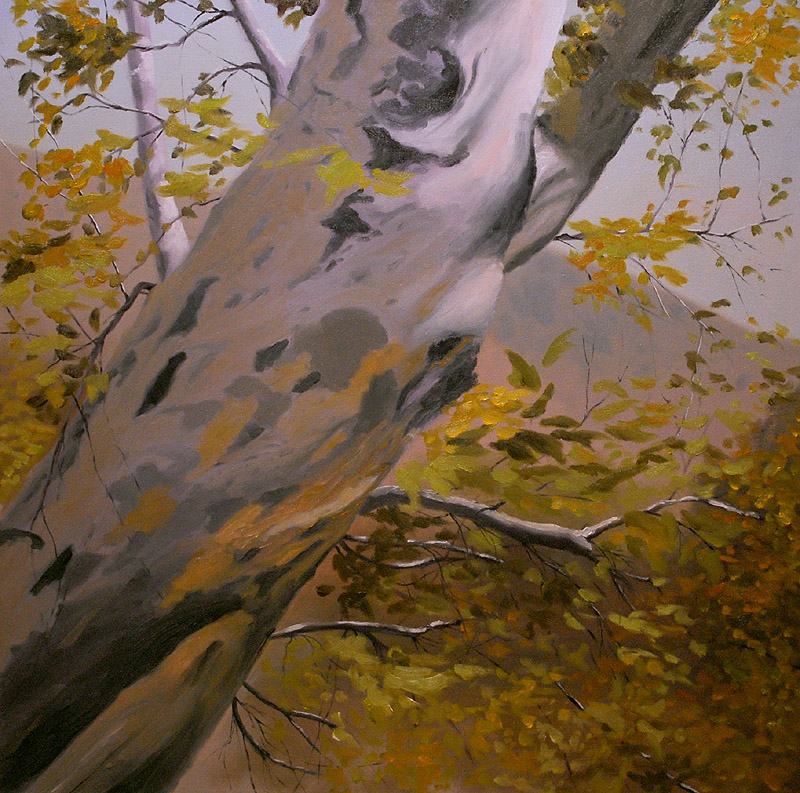 Ron Guthrie Art: A Sycamore