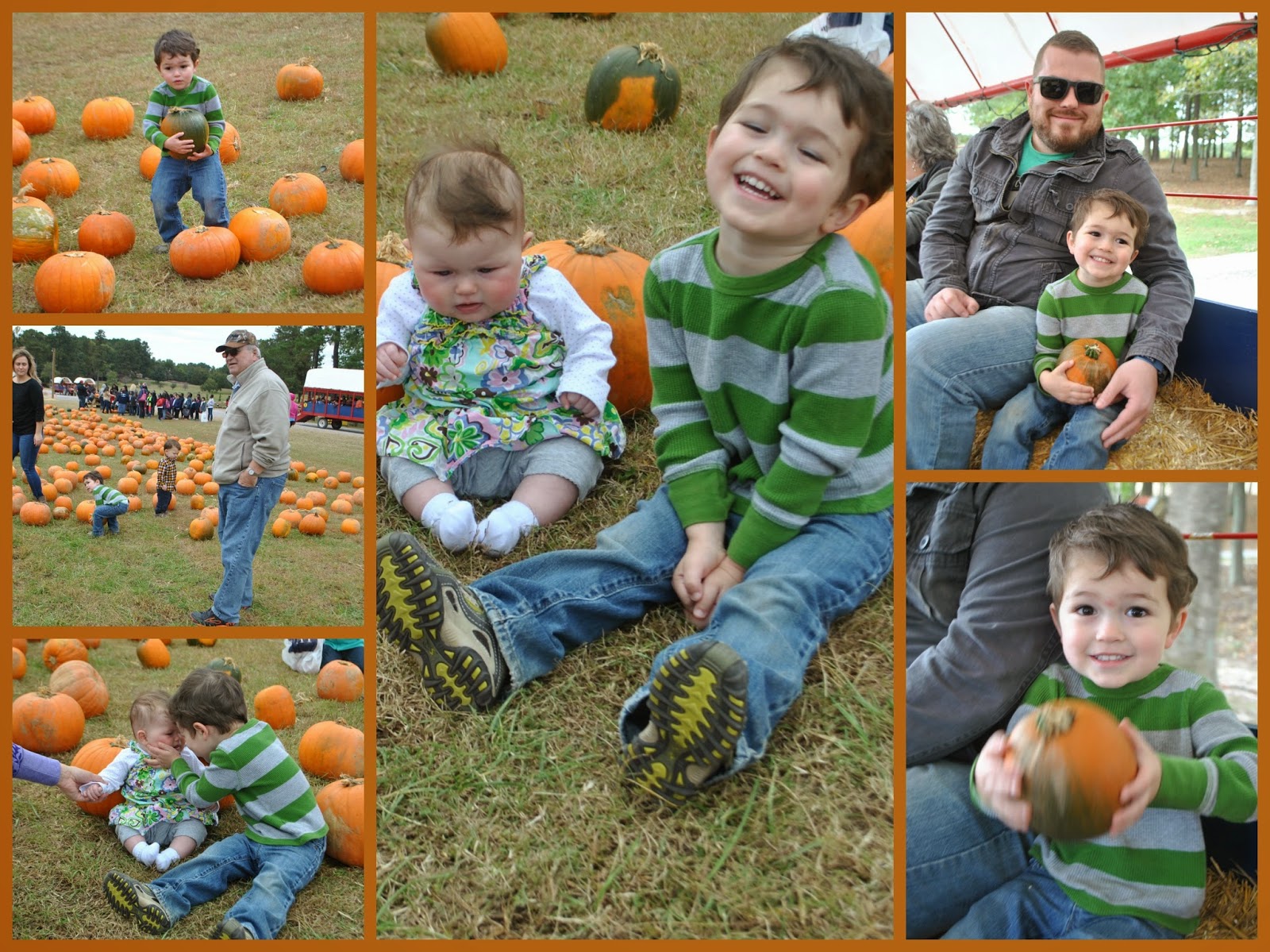 P + L + G + G: Hill Ridge Farms