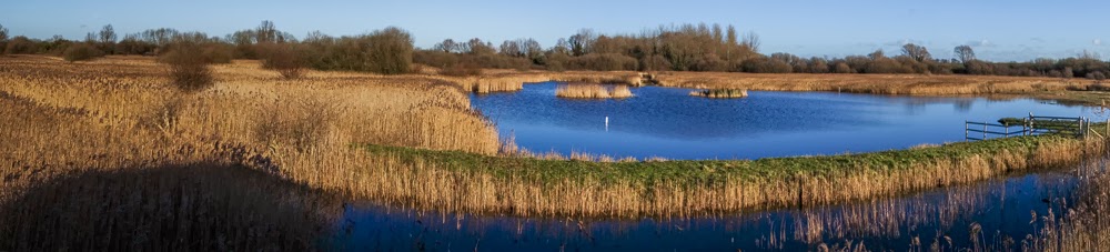 Ann Miles Blog: Fowlmere RSPB Reserve