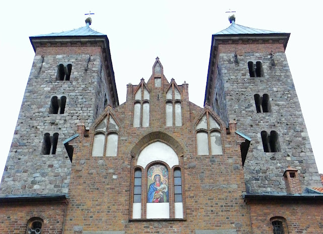 W Jędrzejówce u Poll: Asplenium ruta-muraria (Zanokcica murowa)