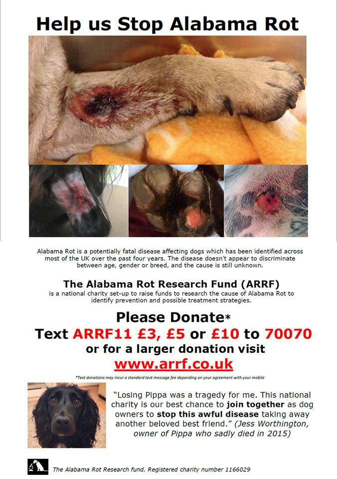 Broad Lane Vets: Alabama Rot – a new disease all dog owners should be ...