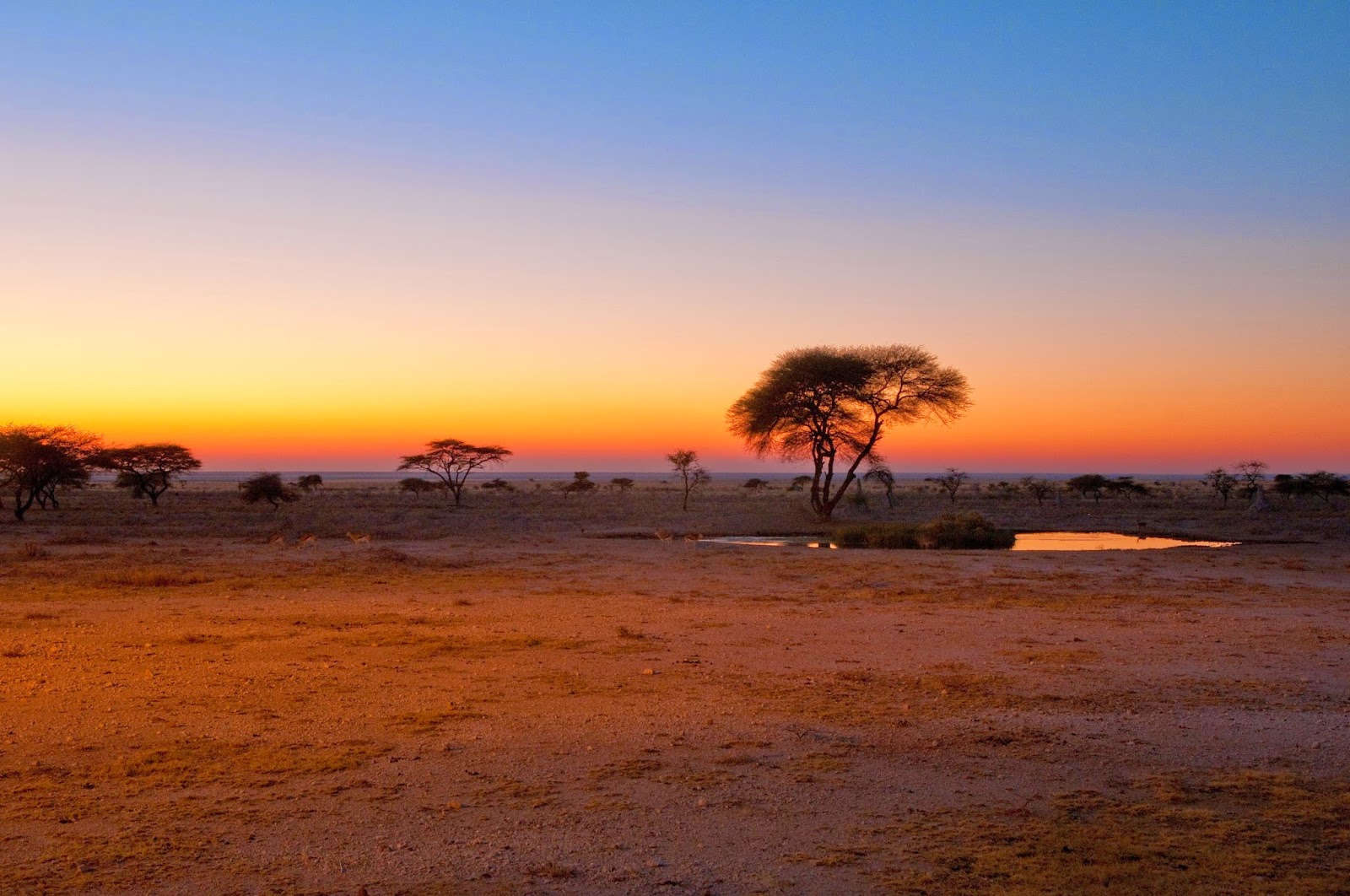 The most beautiful sunsets in Africa