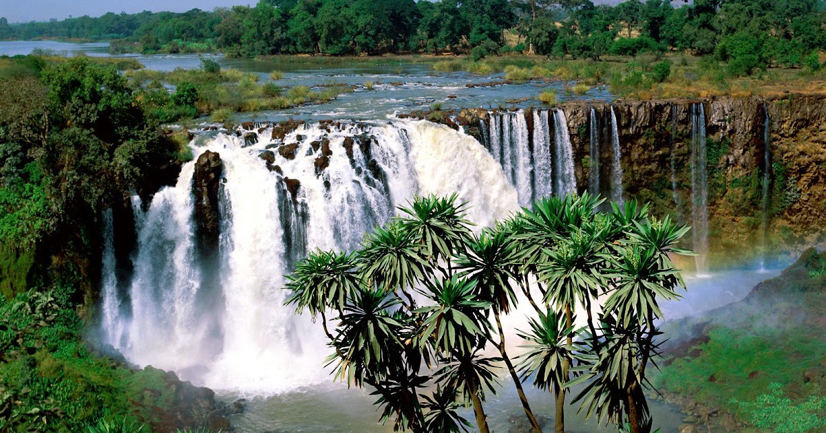 sfdsdf - පිස්සු බ්ලොග්