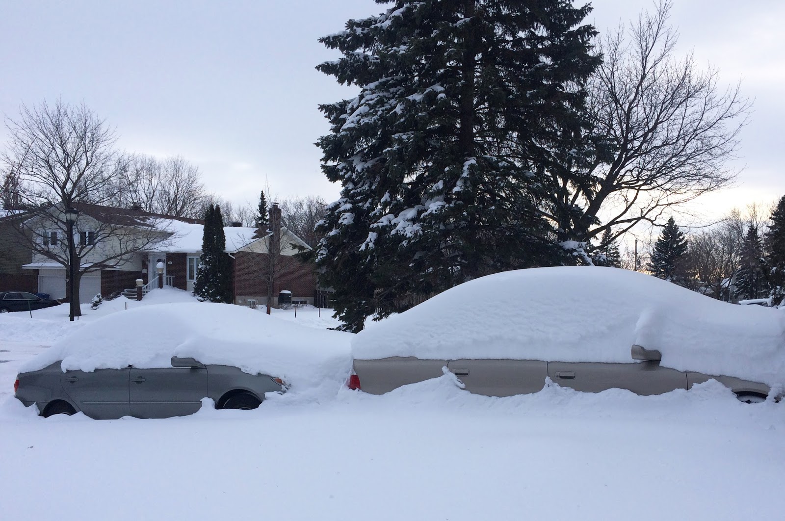 Valley Weather: The calm after the storm - Blizzard 2017 vs 1971