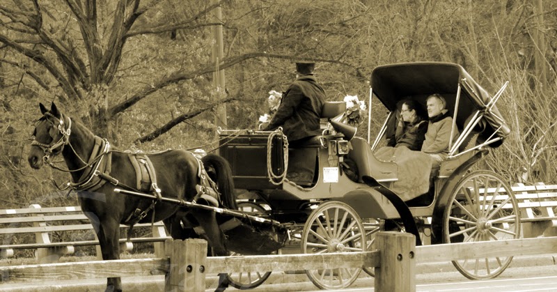 TANGOGRAFÍAS: COCHERO DE PLAZA