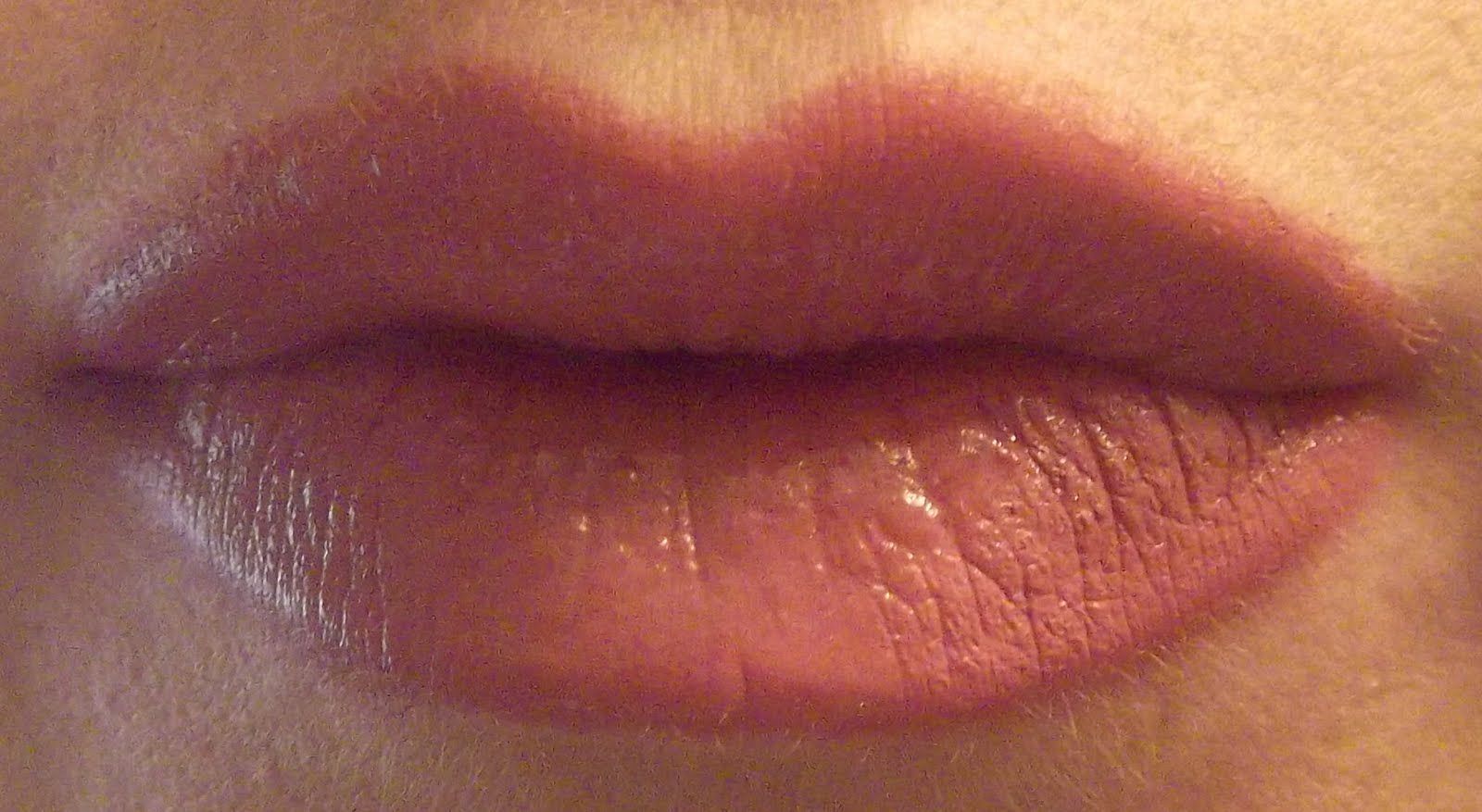 Nikki's Brush: Personal Blog: Big, fat, beautiful lips