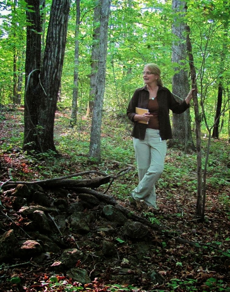 Rock Piles: Little Mulberry Park (GA)