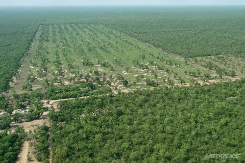 Recorriendo la geografía argentina: La llanura platense y sus paisajes