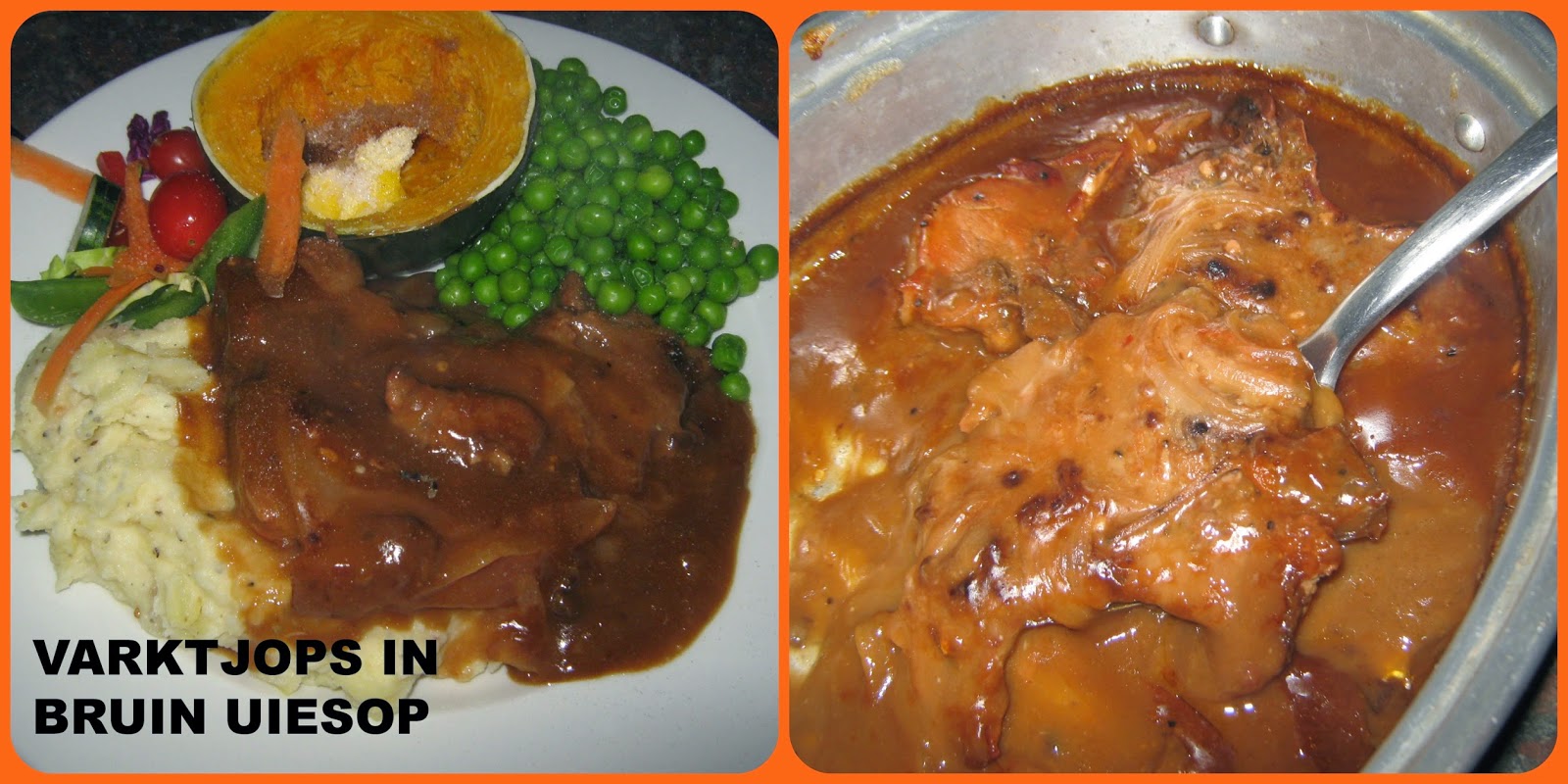 LEKKER RESEPTE VIR DIE JONGERGESLAG: VARKVLEIS GEREGTE