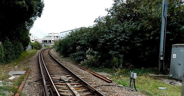 Rail Level and Setting Distance