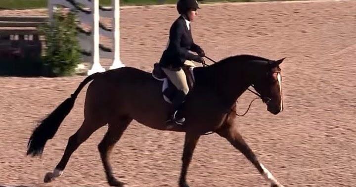 Pace Vs Speed Vs Impulsion pace-vs-speed-vs-impulsion