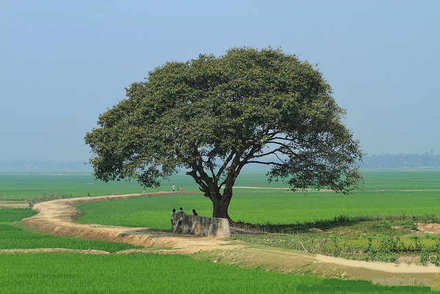 Gift of Nature: Natural Beauty of Bangladesh