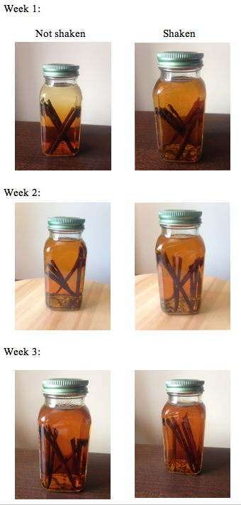 How To, How Hard, and How Much: DIY Vanilla Extract