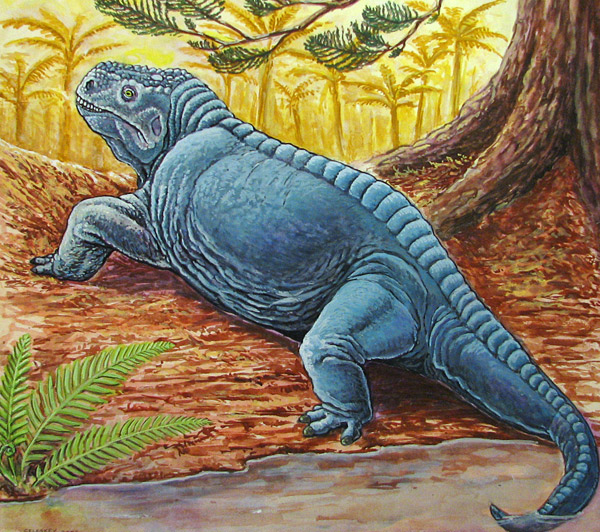 Blog de la Vida Prehistórica: Diadectes