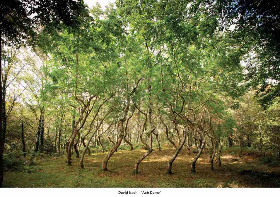 The House of Bath: David Nash - Ash Dome