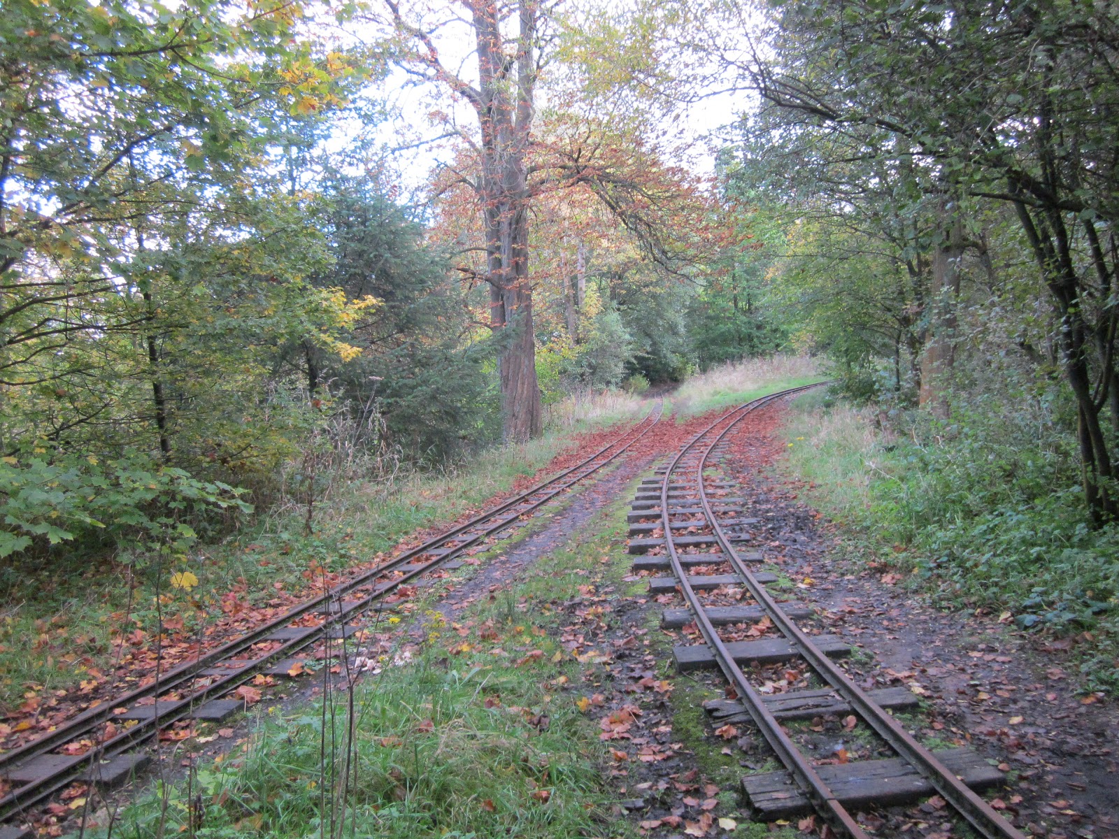Narrow Gauge Railways UK: Haigh Hall Miniature Railway