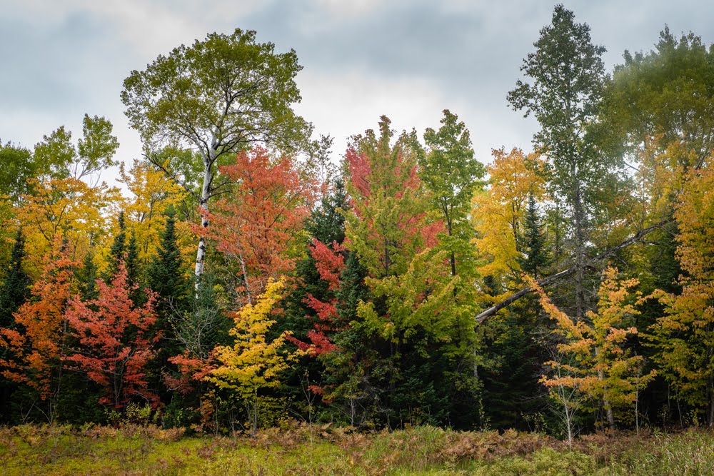 Travels with a Camera: Fall 2018 - Bayfield, Wisconsin