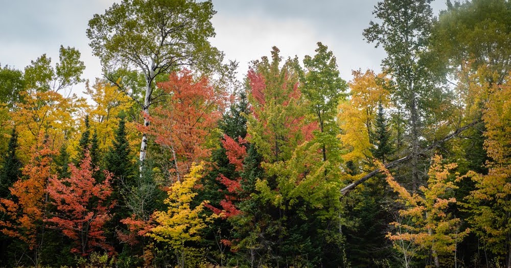 Travels with a Camera: Fall 2018 - Bayfield, Wisconsin